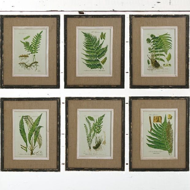 Fern Botanical Prints Framed Wall Art Set of 6 | Antique Farmhouse