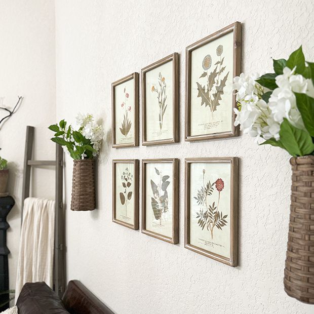 Assorted Botanical Framed Print Set of 6 | Antique Farmhouse