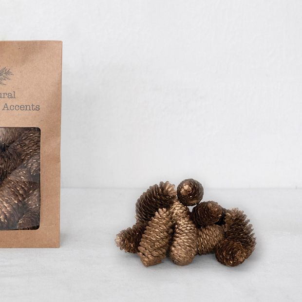 Bag of Dried Natural Pinecones Set of 2 | Antique Farmhouse