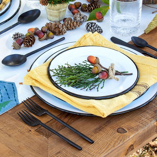 Classic Enamelware Dinner Plate Set of 4 | Antique Farmhouse