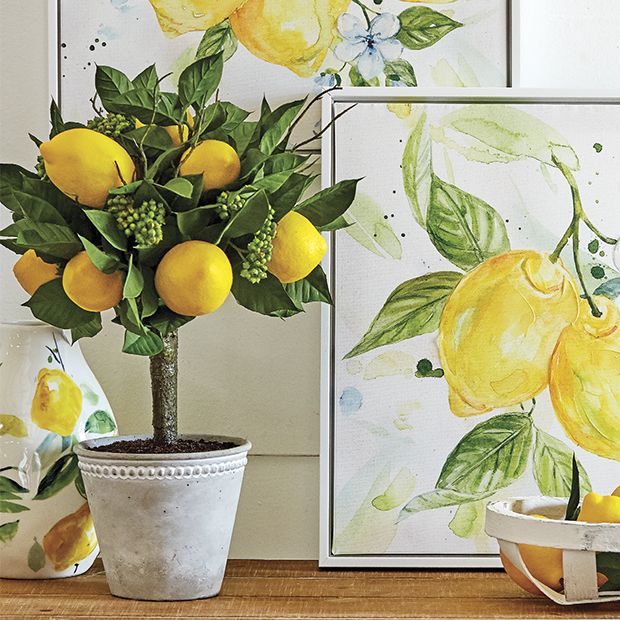 Decorative Potted Lemon Topiary Tree | Antique Farmhouse