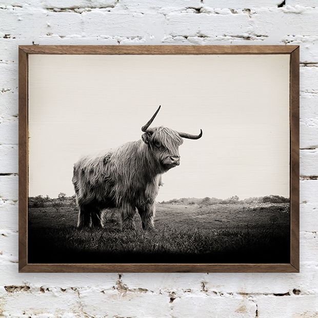 Framed Bull Wall Art Antique Farmhouse