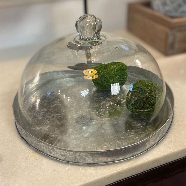 Galvanized Metal Base with Glass Cloche Dome | Antique Farmhouse