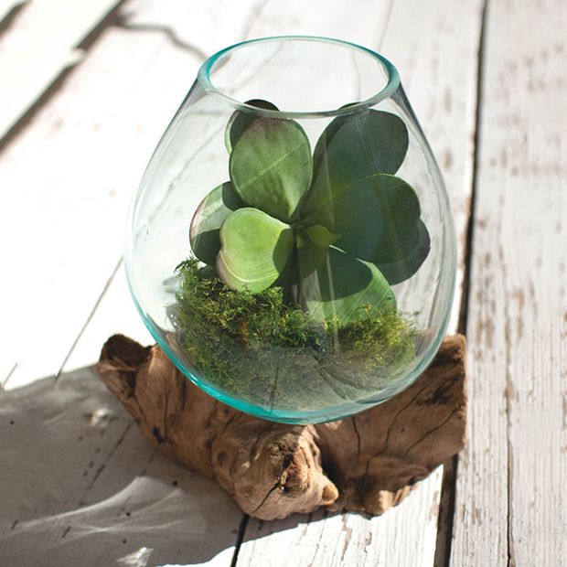 Glass Display Bowl on Driftwood Base | Antique Farmhouse