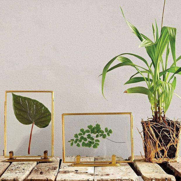 Metal Framed Photo Frame Set of 2 | Antique Farmhouse