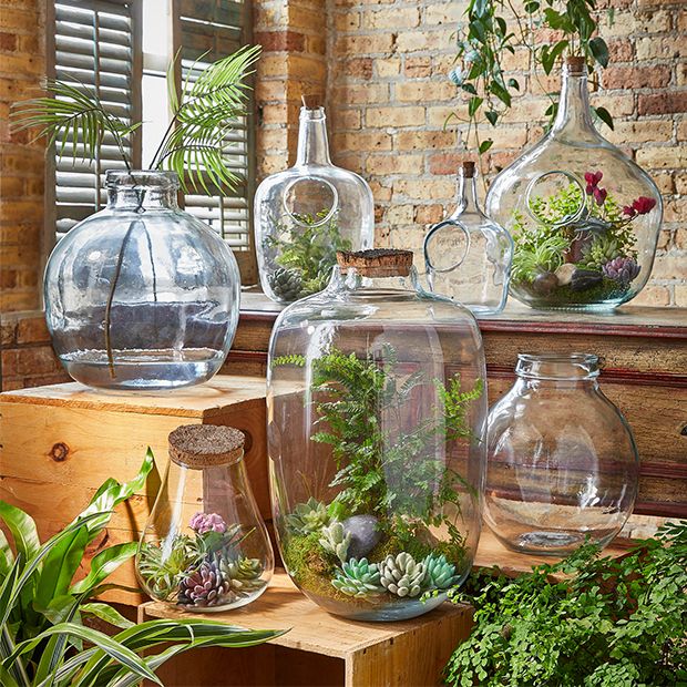 Recycled Clear Glass Terrarium | Antique Farmhouse