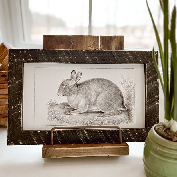 Rustic Framed Vintage Short Ear Bunny Wall Art | Antique Farmhouse