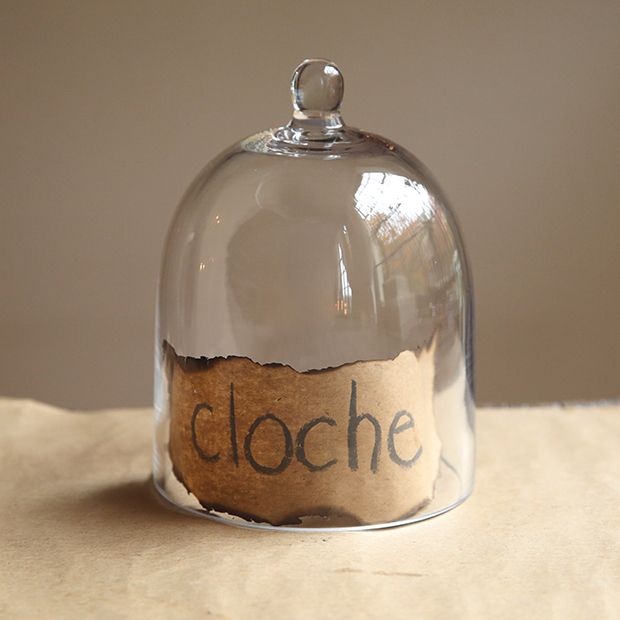 Traditional Glass Cloche | Antique Farmhouse