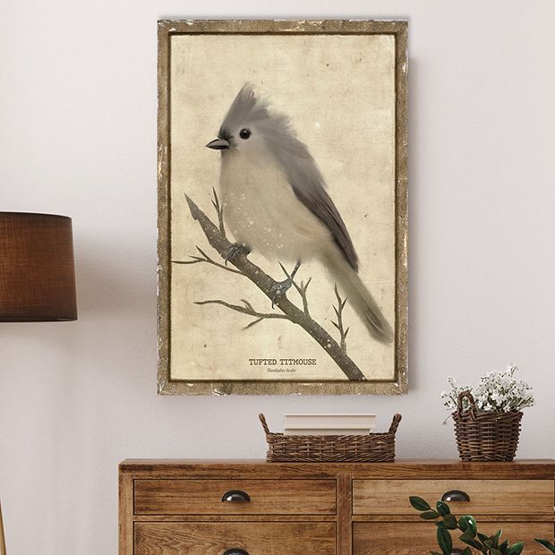 Tufted Titmouse Print Canvas Wall Art | Antique Farmhouse