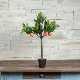 Potted Apple Tree Topiary | Antique Farmhouse