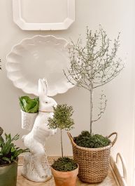 Potted Thyme Topiary | Antique Farmhouse
