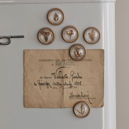 Round Botanical Magnets Set of 6 | Antique Farmhouse