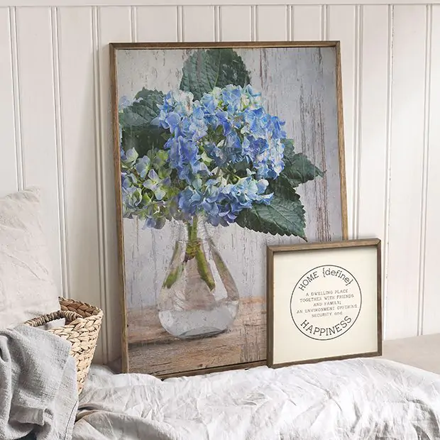 blue hydrangea flower wall