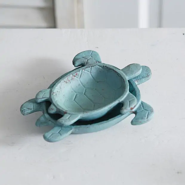 turtle dish