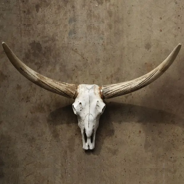 steer skull