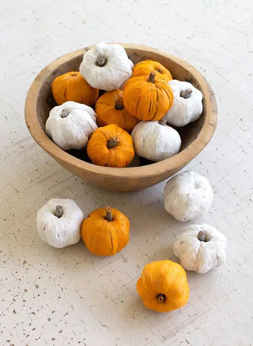 decorative small pumpkins