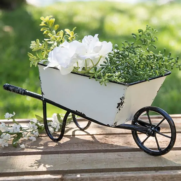 wheelbarrow planter