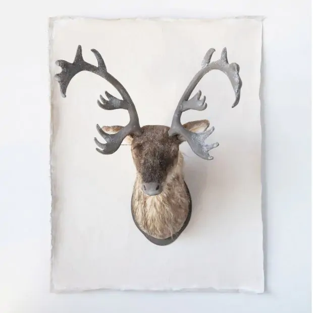 mounted elk head