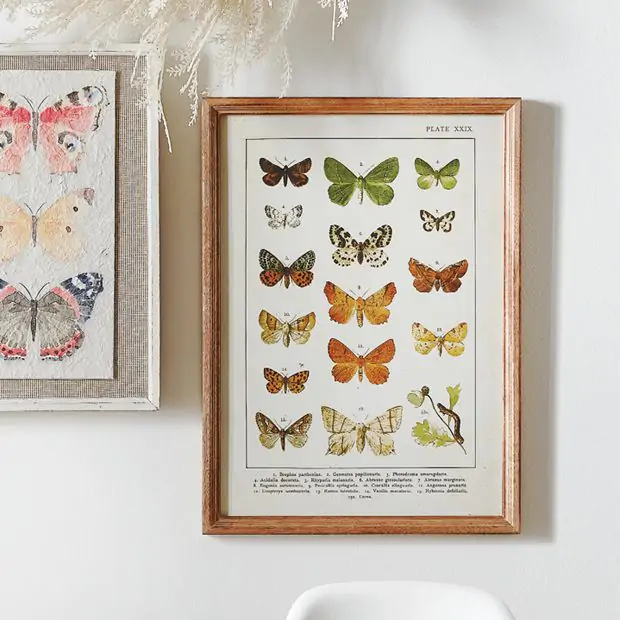 butterfly chart