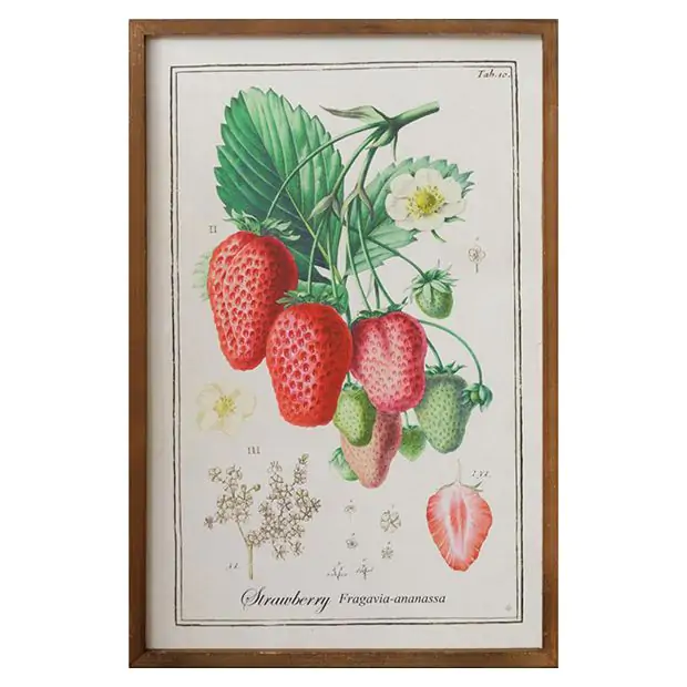 fruit wall plaques