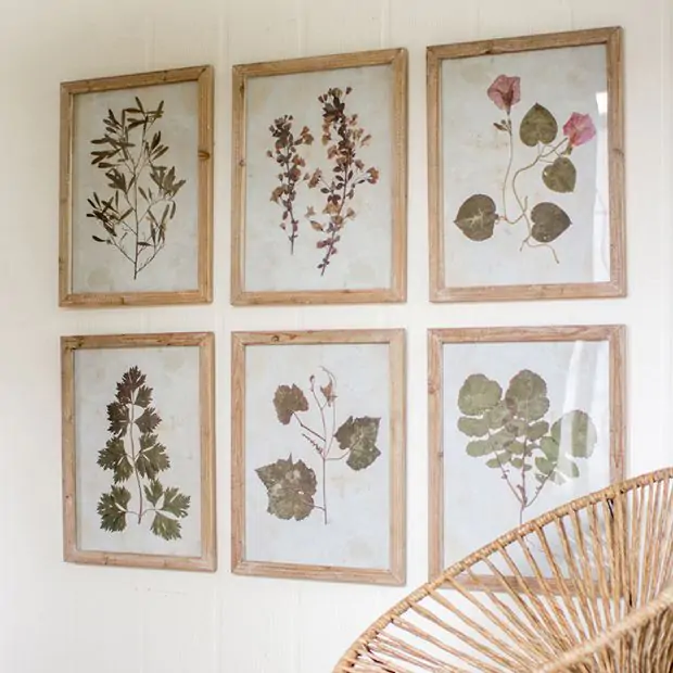 leaf framed prints