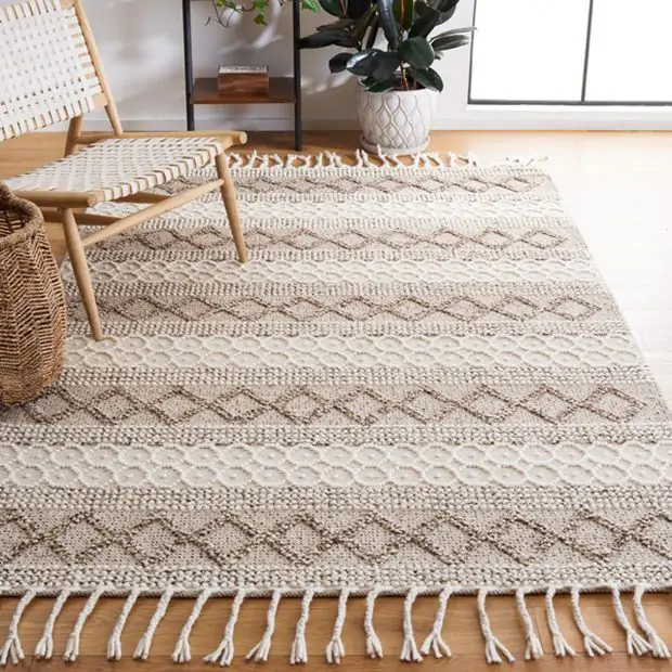 Fringed Modern Boho Accent Rug Antique Farmhouse