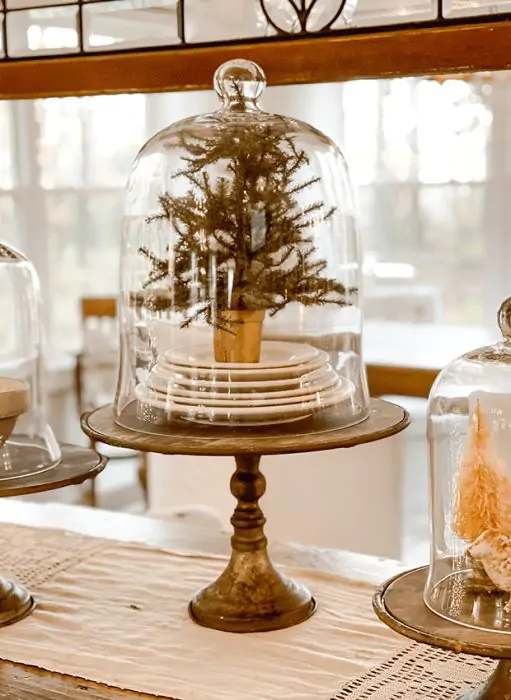 Large Glass Cloche Bell Jar Large Glass Display Cover Cloche Bell Jar