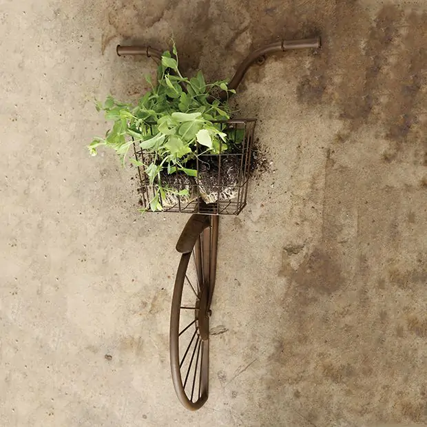 bicycle wall decor