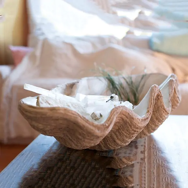 seashell bowl