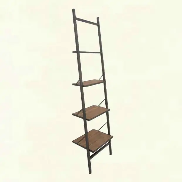 Metal leaning ladder shelf store