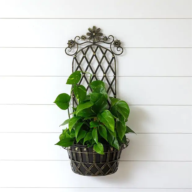 metal wall planters