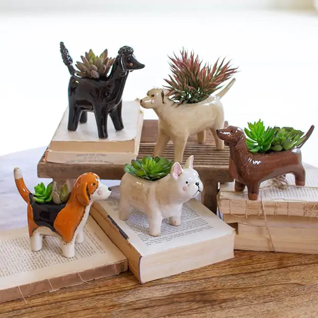 planters pets
