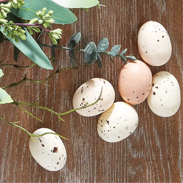 speckled eggs