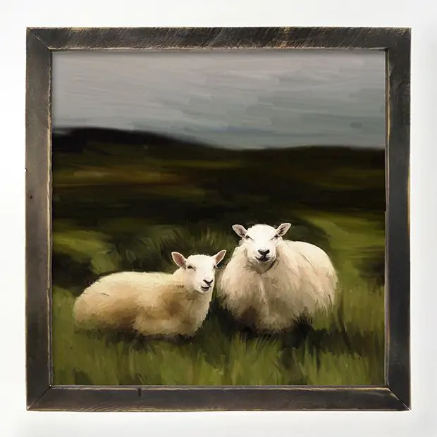 two sheep