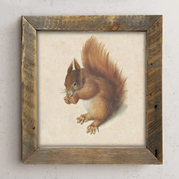 squirrel art