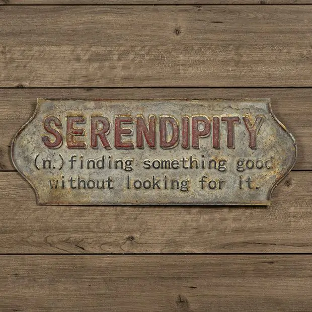 serendipity finding something good