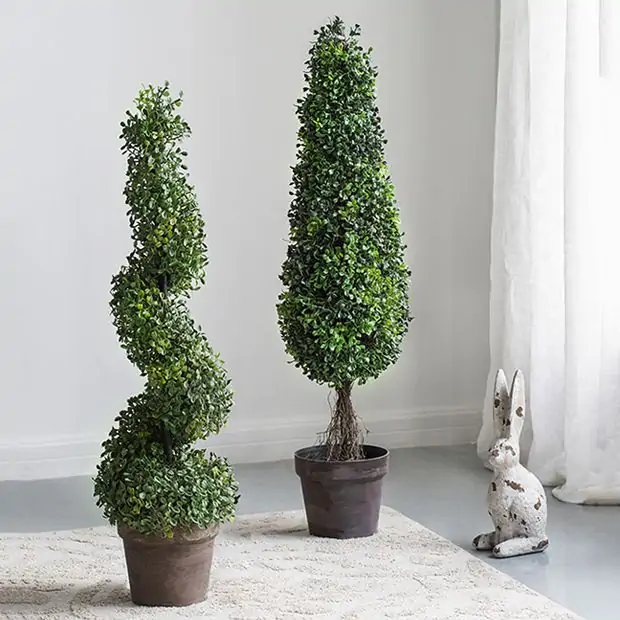 potted topiary trees