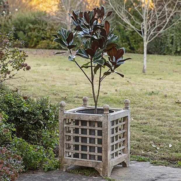 lattice planter
